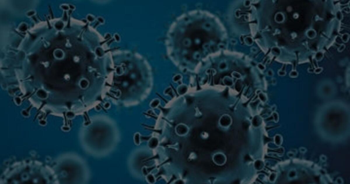 Epidemics, Pandemics and How To Control Them