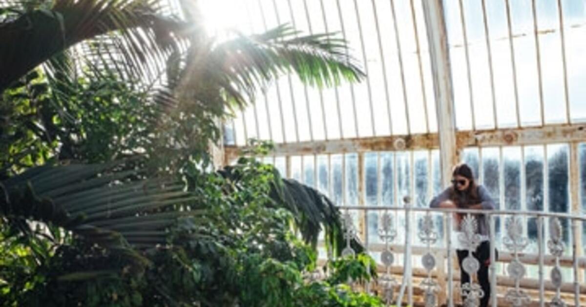 Gardens of Empire: The Role of Kew and Colonial Botanic Gardens