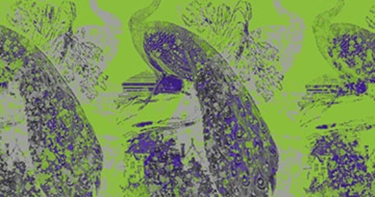 Darwin‘s Troubled Legacy