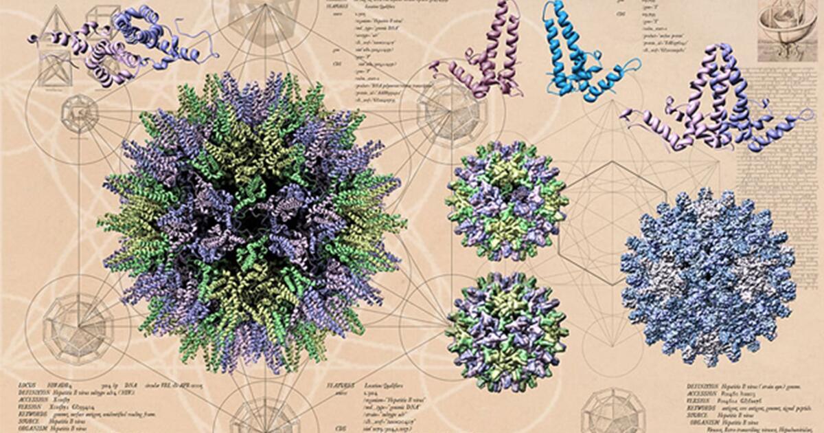 Geometry: A New Weapon in the Fight Against Viruses