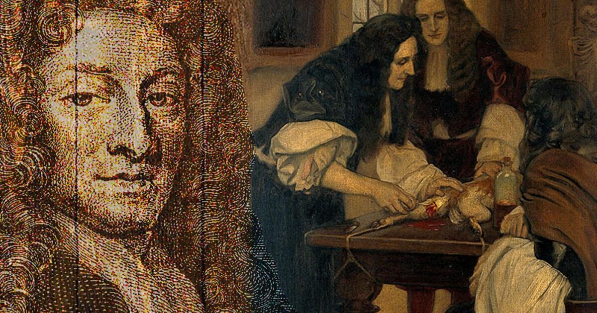 Christopher Wren’s Medical Discoveries: the ‘Architect of Human Anatomy ...