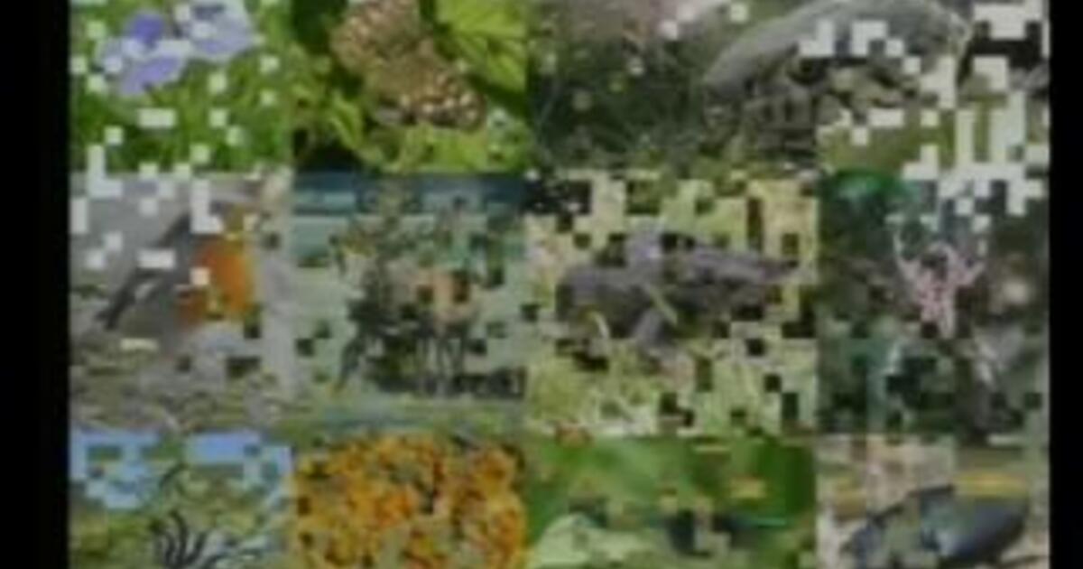 London's Ecology - Managing for biodiversity in London's Royal Parks