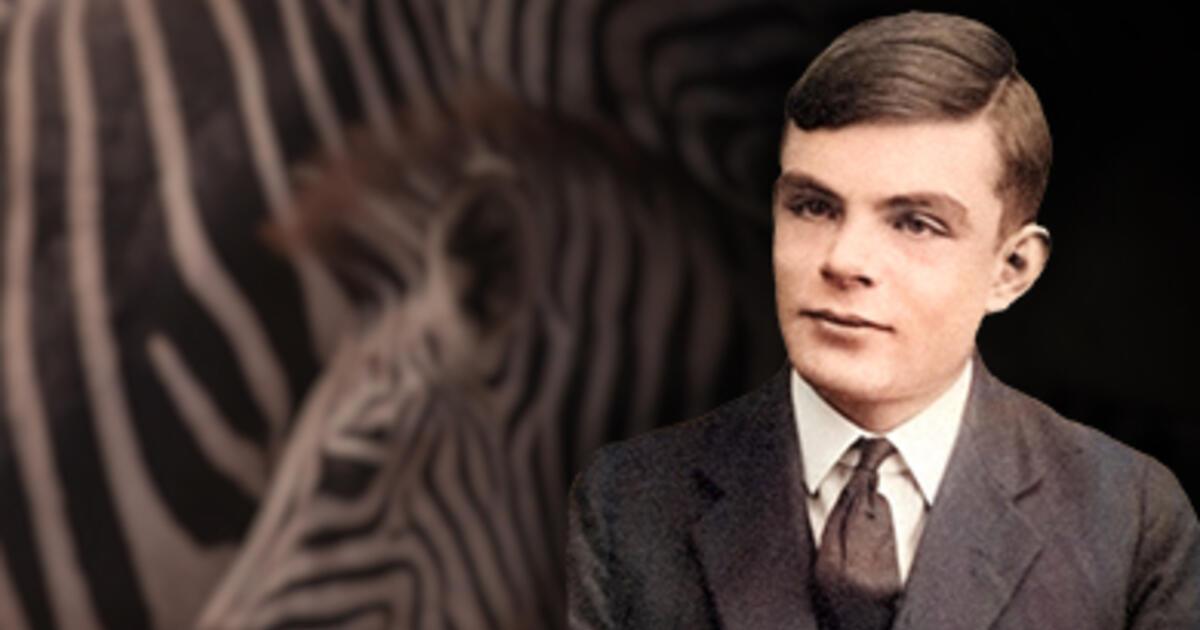 Alan Turing: Pioneer of Mathematical Biology | Gresham College