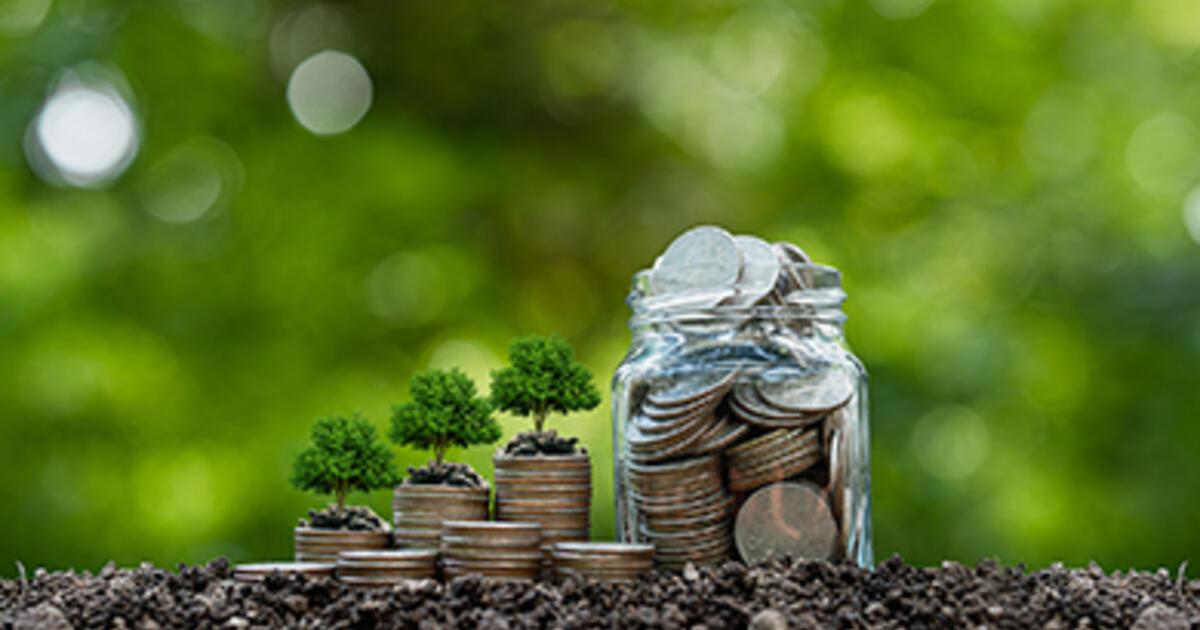 Carbon Offsetting: Does It Really Work? | Gresham College