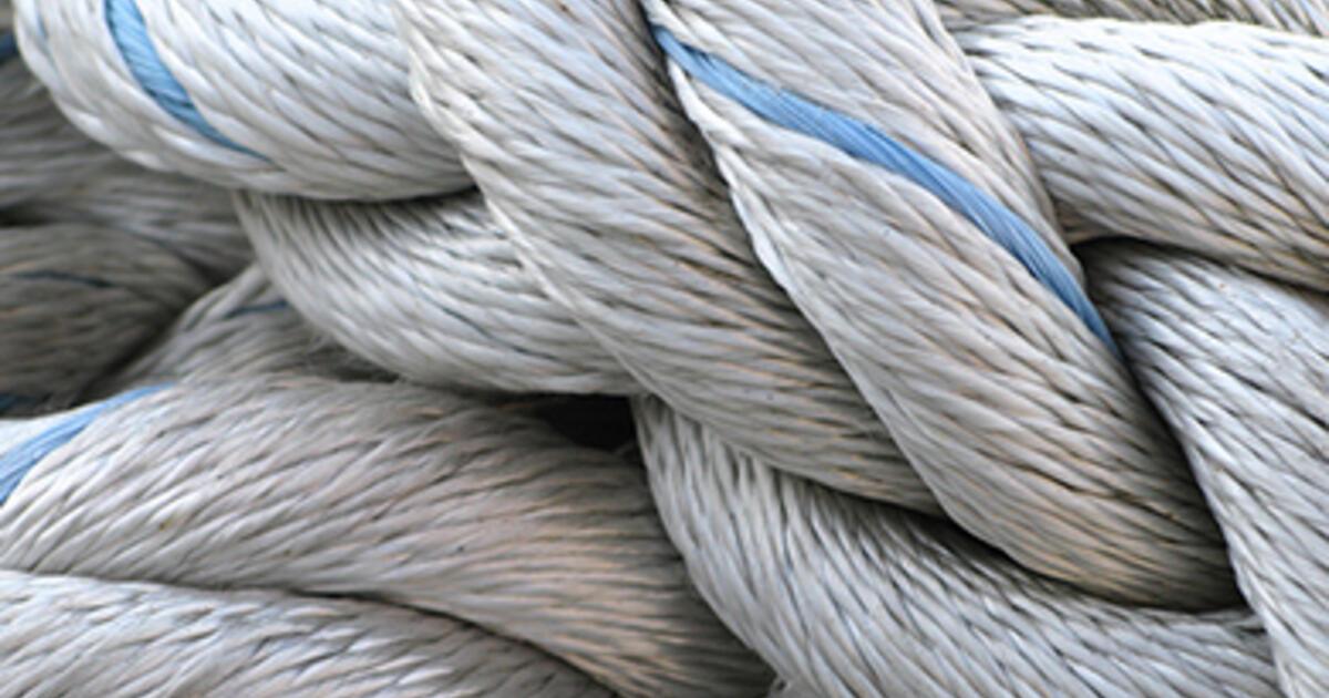 The Shape of Knots: From DNA to Shoestrings and Solar Flares | Gresham ...