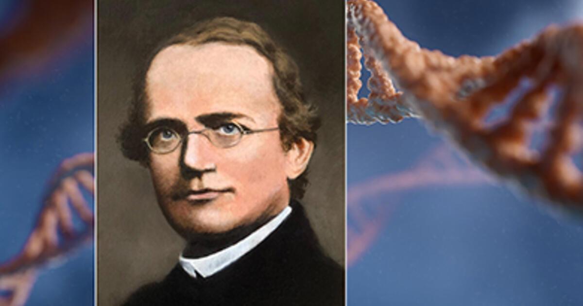 The Biological Construction of Risk: From Mendel’s ‘Hidden Determinants ...