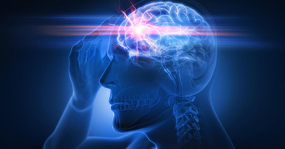 The Connected Brain: Network and Communication | Gresham College