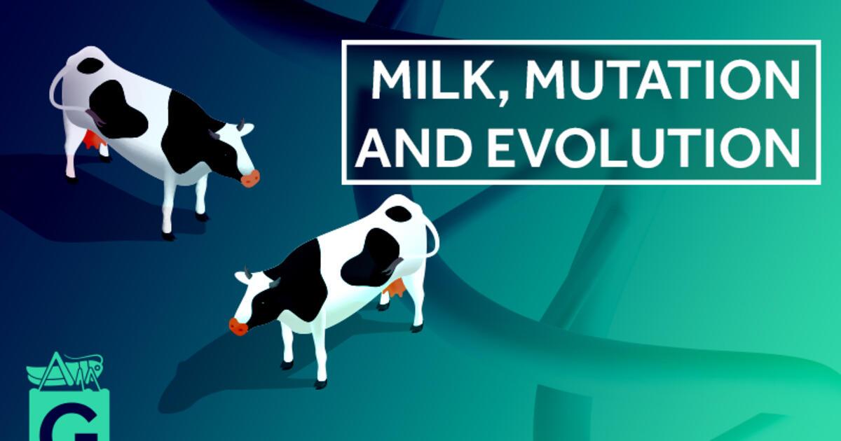 Milk, Mutation and Evolution | Gresham College