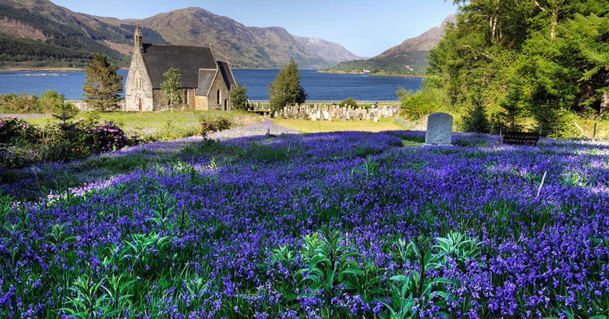 'The Blue Bells of Scotland'