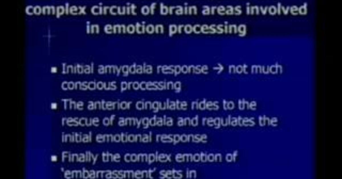 The mapping of emotion