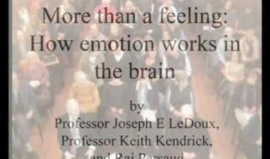 Professor Joseph E. LeDoux | Gresham College